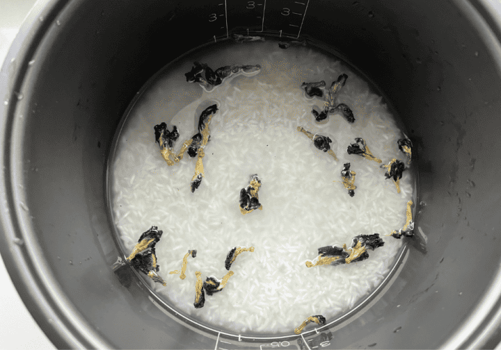 Blue Butterfly Pea Flower Rice (rice cooker or stovetop) - Agile Test ...