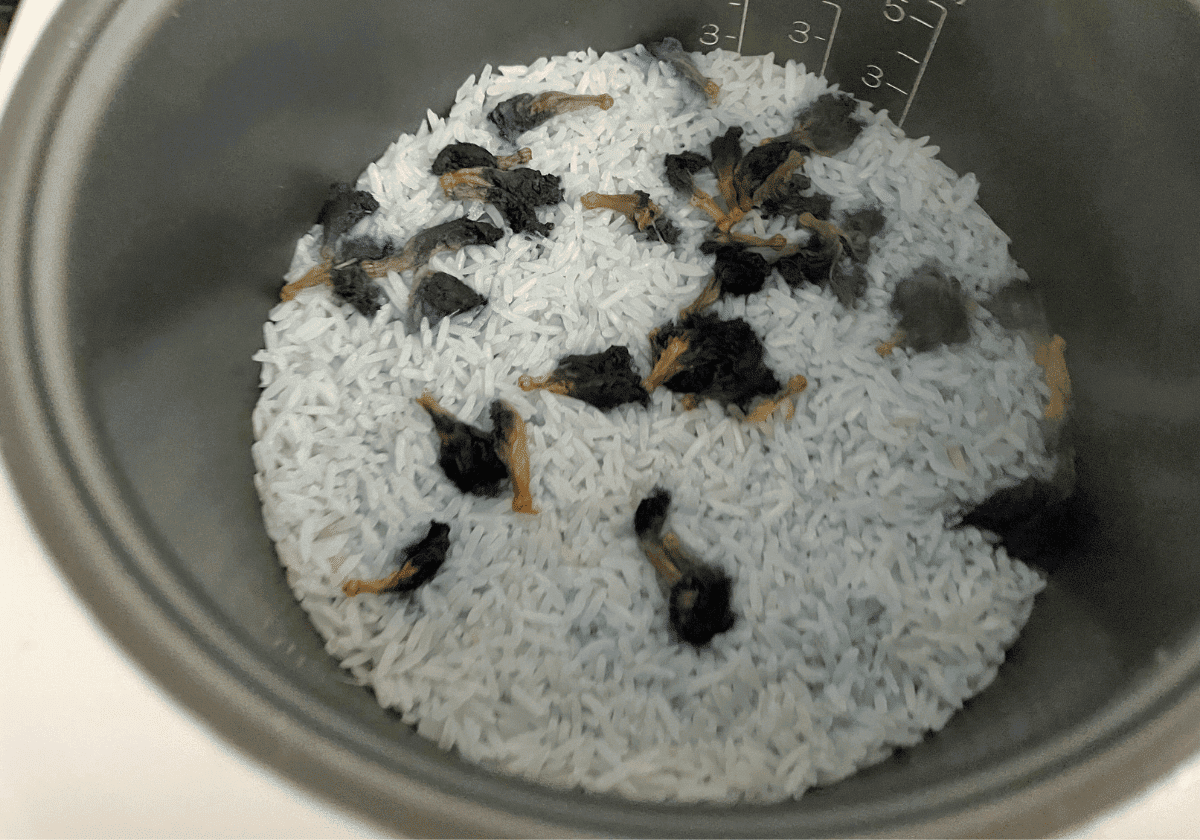 Blue Butterfly Pea Flower Rice (rice cooker or stovetop) - Agile Test ...