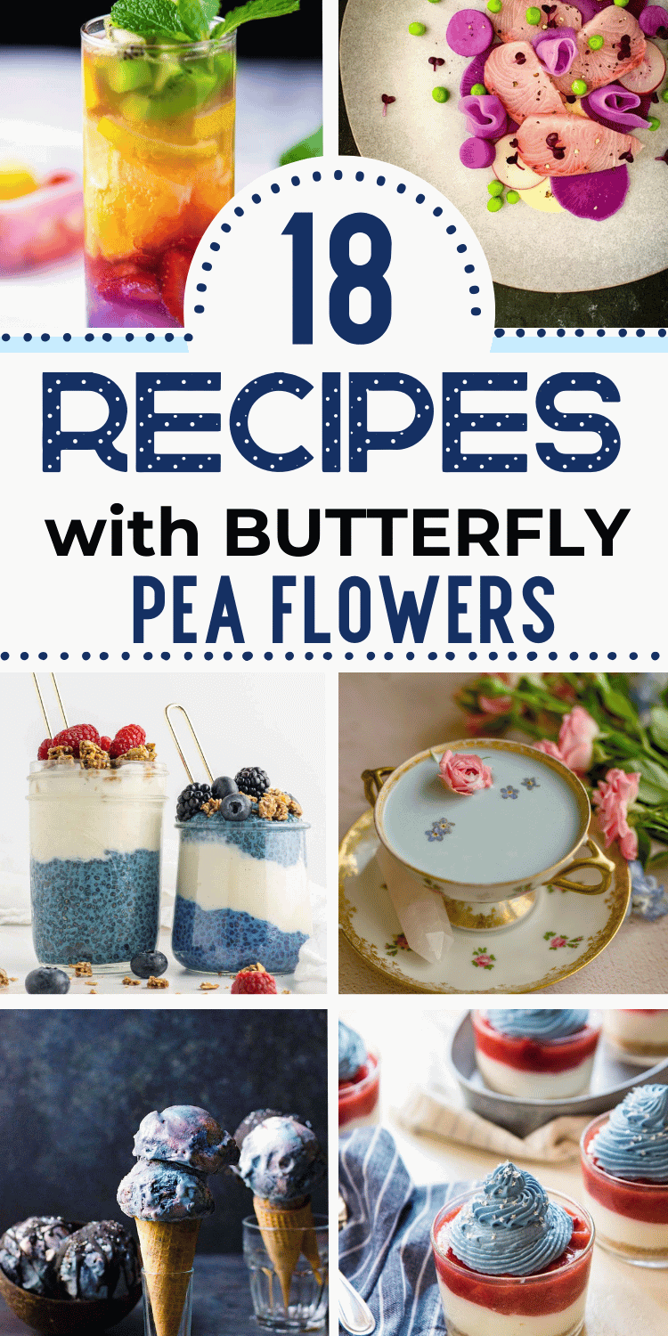 18 Butterfly Pea Flower Recipes (with sweet & savory inspiration ...