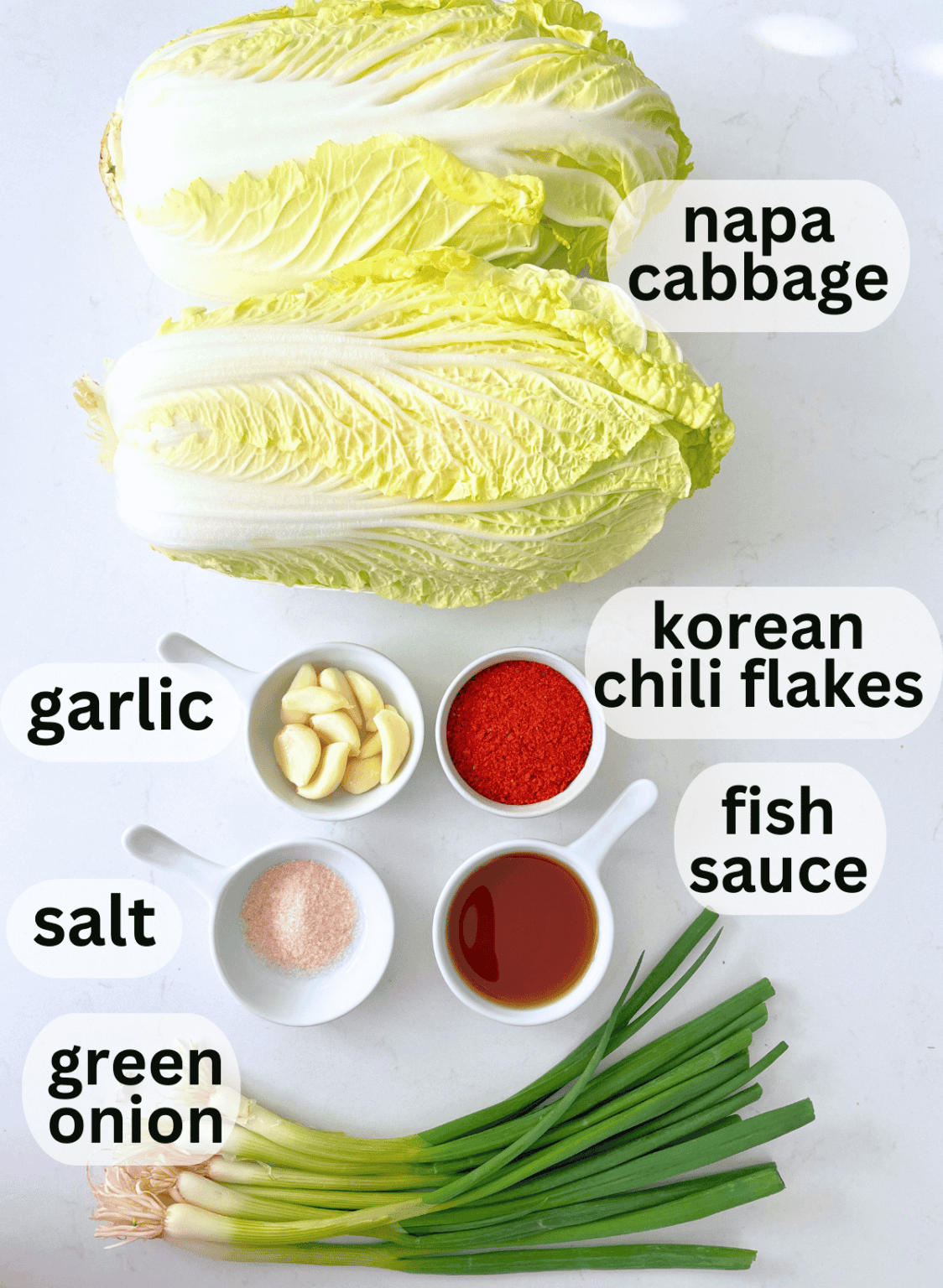 Fresh & Easy Napa Cabbage Kimchi (6 ingredients) - Agile Test Kitchen