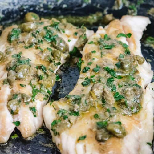Broiled Hamachi Collars (oven or air fryer) - Agile Test Kitchen